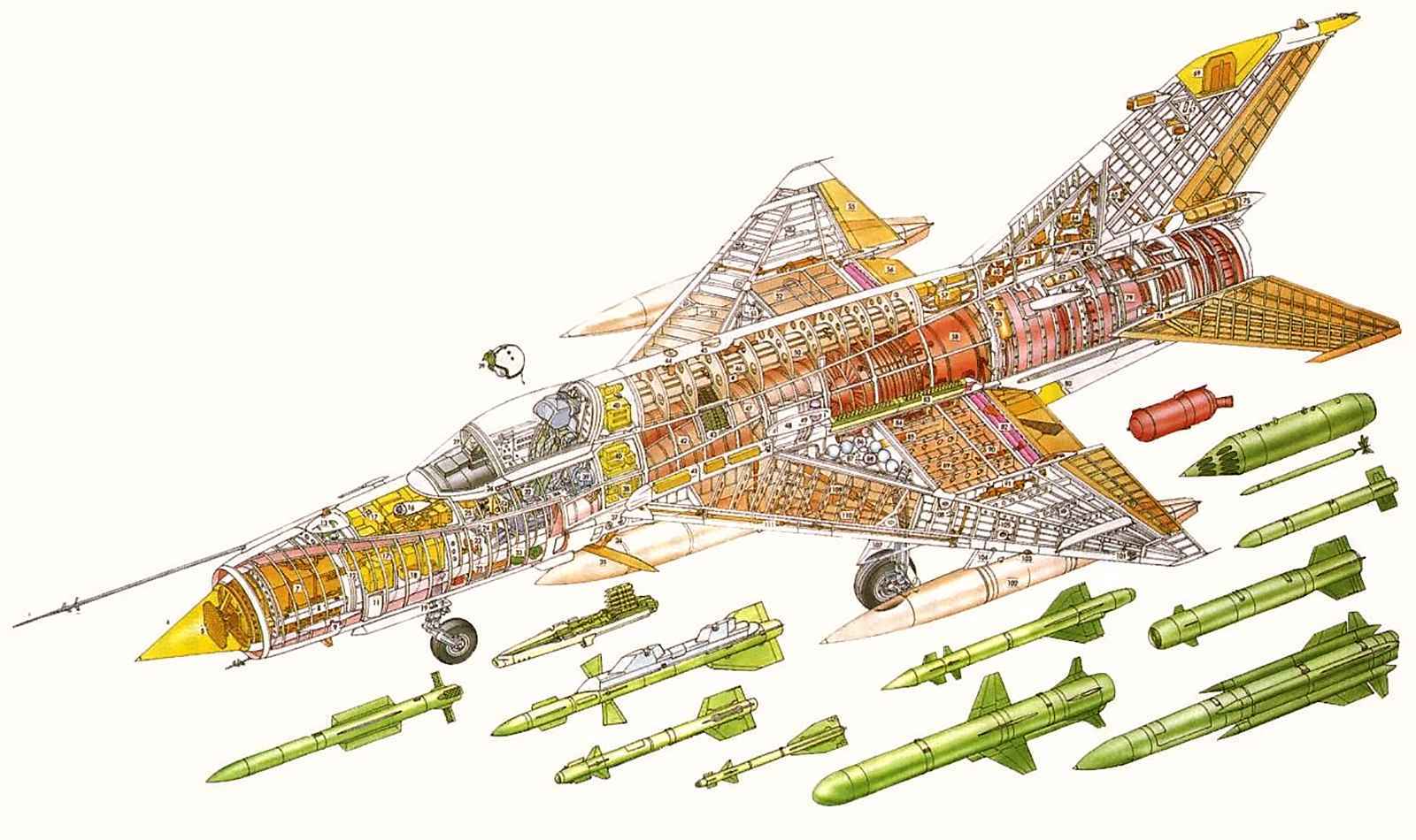Mikoyan Gurevich MiG-21 Bison, a Fera Hindu - Velho General